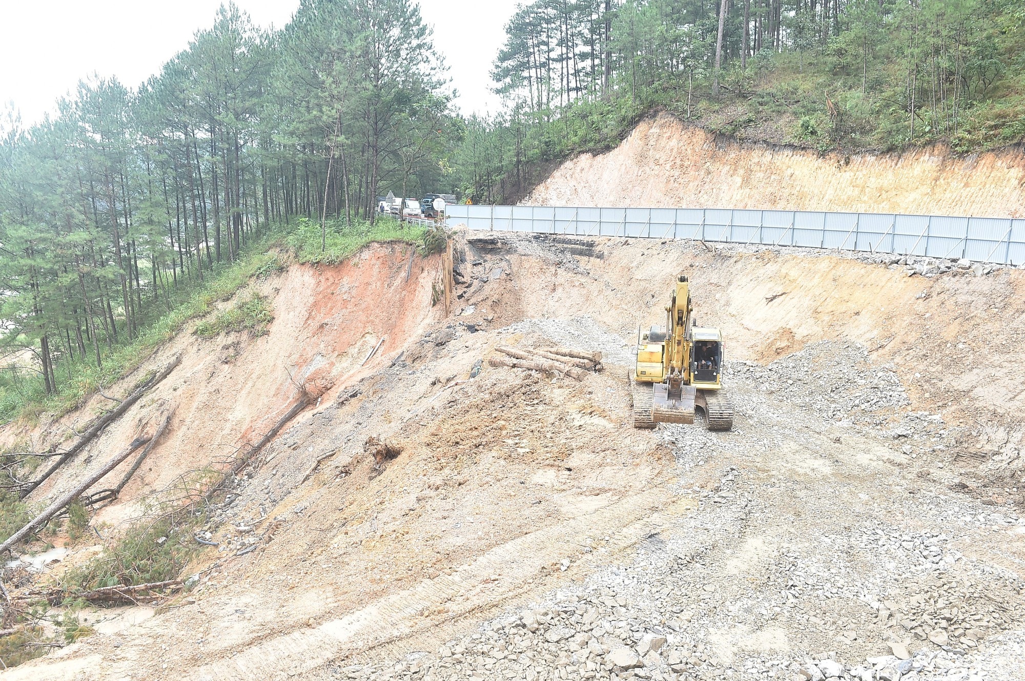 L%c3%a2m%20%c4%90%e1%bb%93ng%20ph%e1%ba%a3i%20ho%c3%a0n%20t%e1%ba%a5t ...