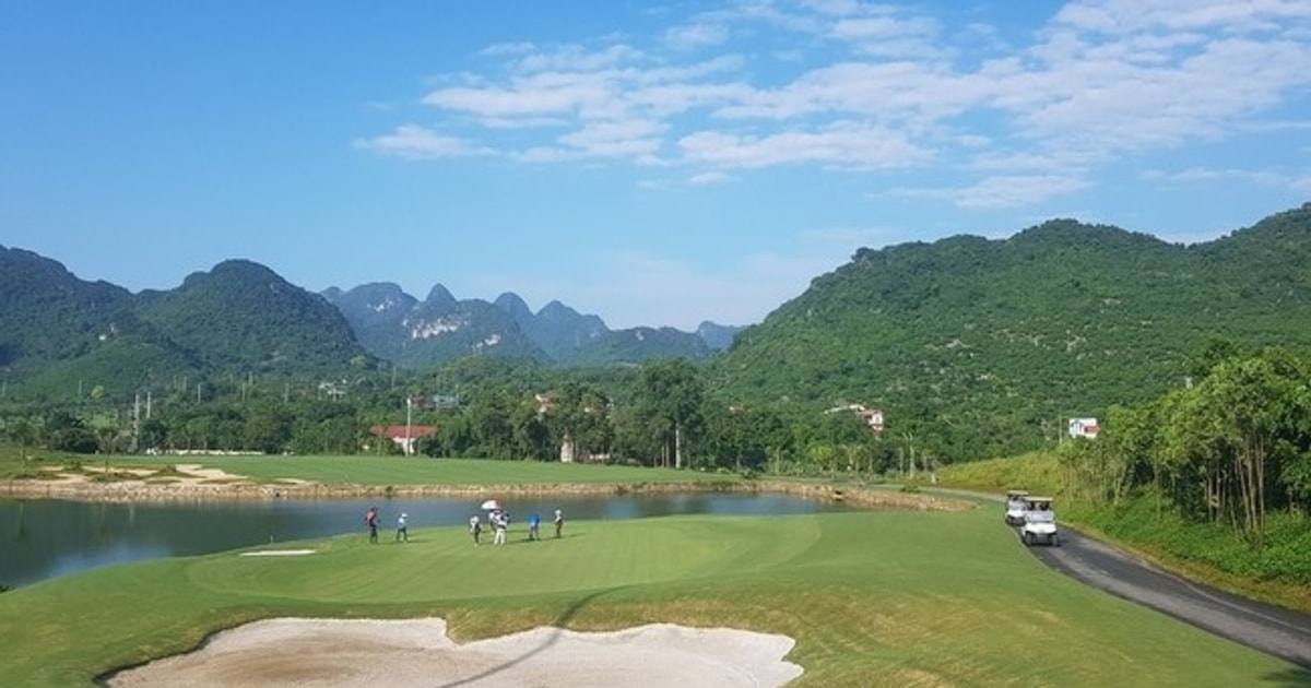 Thua lỗ triền miên, hệ sinh thái trong tay ông Trần Văn Dĩnh lấy tiền ...