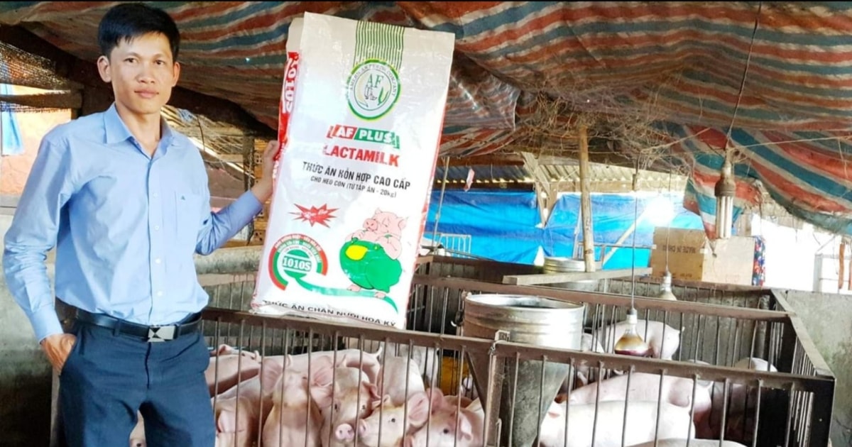 CEO Fastship Phạm Văn Hoàng: “Chúng ta chỉ thật sự thất bại... khi ...