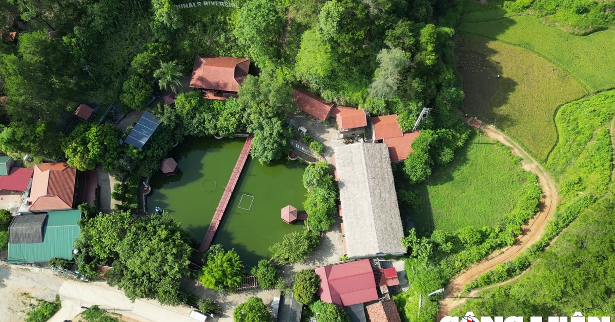 Bài 2: Qua hơn 2 năm, chính quyền vẫn “loay hoay” xử lý, xử phạt vi ...