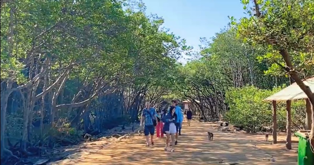 %c4%90%e1%ba%a3o%20kh%e1%bb%89%20C%e1%ba%a7n%20Gi%e1%bb%9d%20-%20%c4 ...