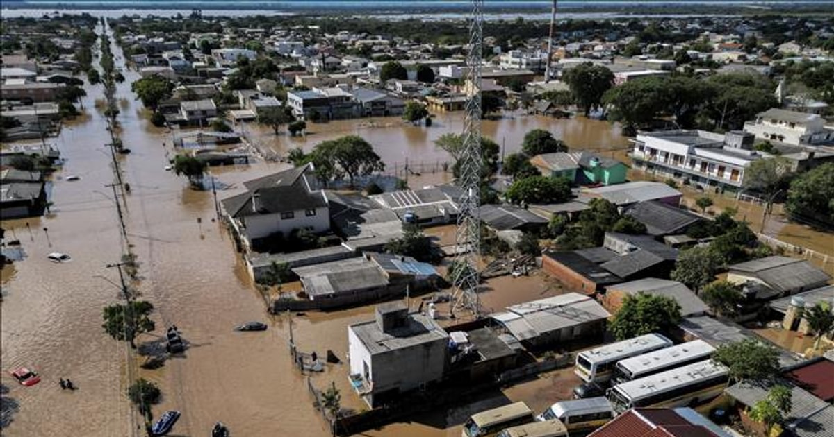 T%e1%bb%ab%20%e2%80%9c%c4%91%e1%ba%a1i%20h%e1%bb%93ng%20thu%e1%bb%b7%e2 ...