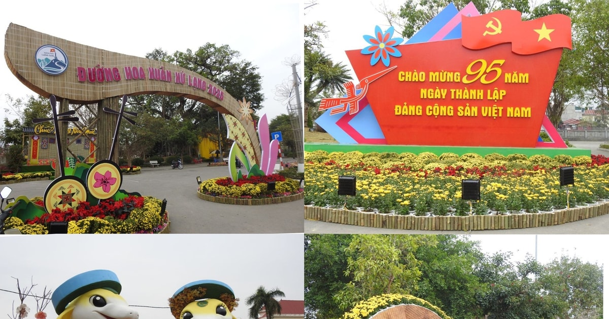 D%e1%bb%b1%20%c3%a1n%20trang%20tr%c3%ad%20L%e1%bb%85%20h%e1%bb%99i ...