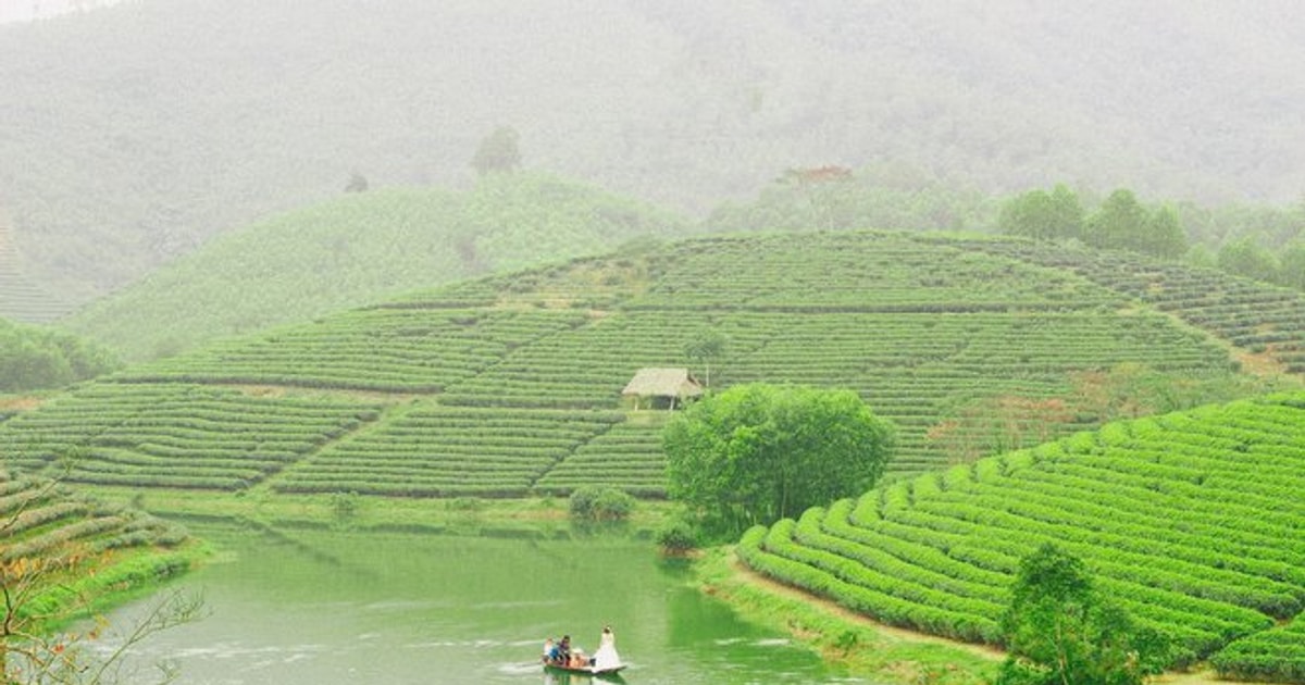 Đoàn làm phim châu Âu thích thú với cảnh đẹp đảo chè ở Nghệ An