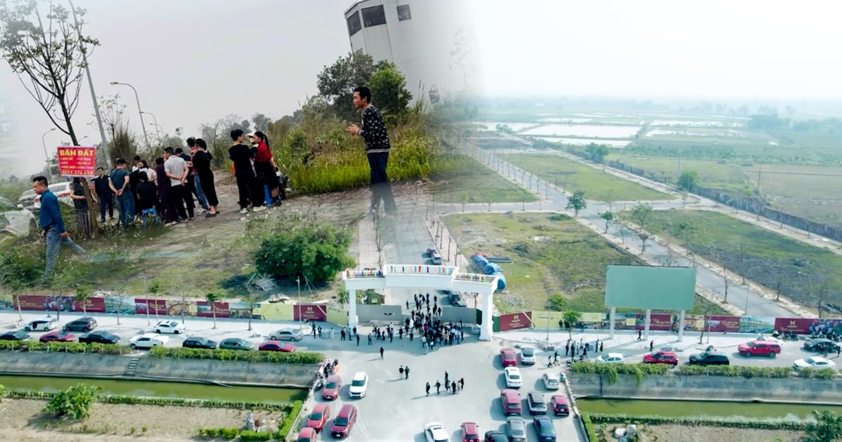 Giá BĐS có thể giảm sau sáp nhập, NĐT cẩn trọng theo tâm lý đám đông