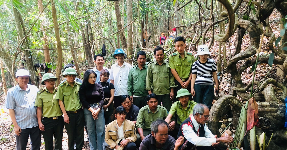 Gia Lai: Nghi lễ cúng tạ ơn Thần rừng của người Jrai - cùng chung tay ...