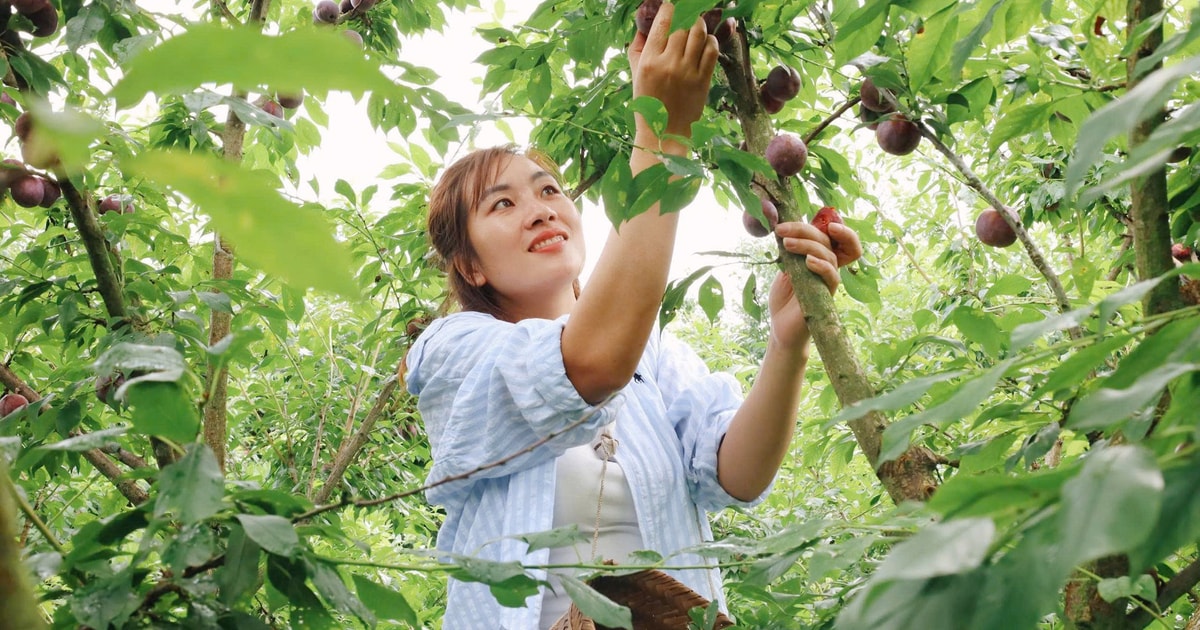 Ng%c6%b0%e1%bb%9di%20d%c3%a2n%20th%c3%adch%20th%c3%ba%20tr%e1%ba%a3i ...