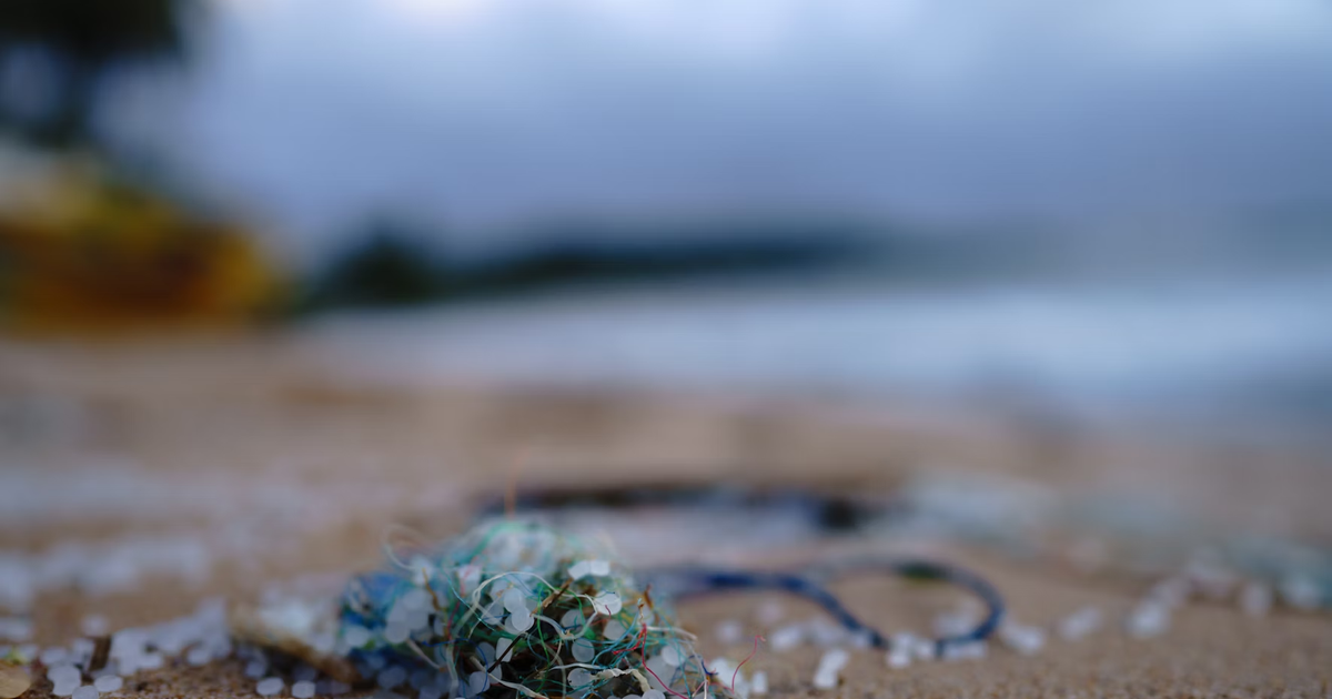 %e2%80%8fPh%c3%a1t%20hi%e1%bb%87n%20vi%20nh%e1%bb%b1a%20trong%20tinh ...