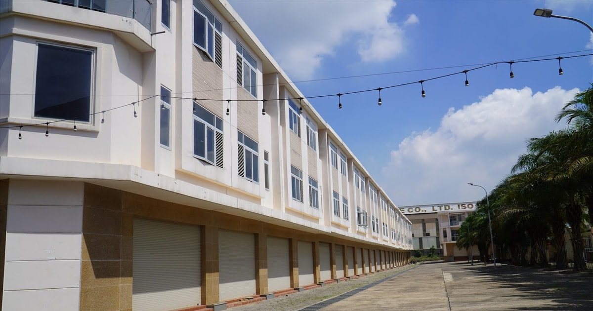 Vi%20ph%e1%ba%a1m%20trong%20l%c4%a9nh%20v%e1%bb%b1c%20%c4%91%e1%ba%a5t ...